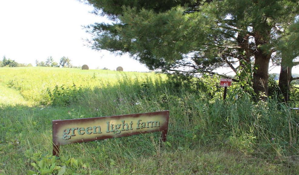 Prairie Farm couple cultivates income with flowers | Subscriber | apg ...