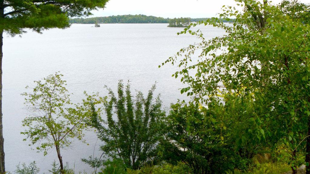 BRC conserves Spider Lake waterfront | Local | apg-wi.com