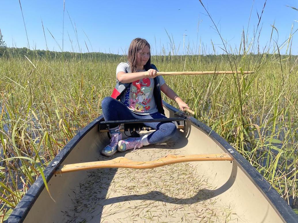 Manoomin — and much more: Bayfield students experience wild-rice ...
