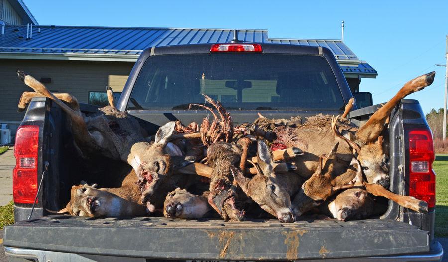 Multiple deer poached in Price County | Free | apg-wi.com