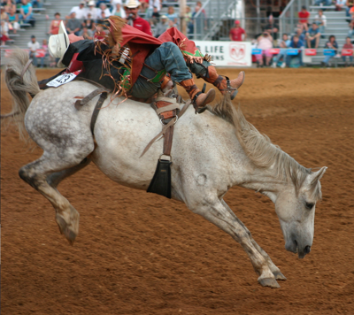 Excitement building for 69th Spooner Rodeo | Sports | apg-wi.com