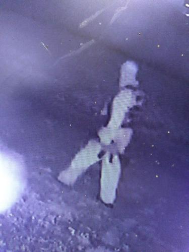 Person with an assault rifle, body armor, steals truck | Free | apg-wi.com