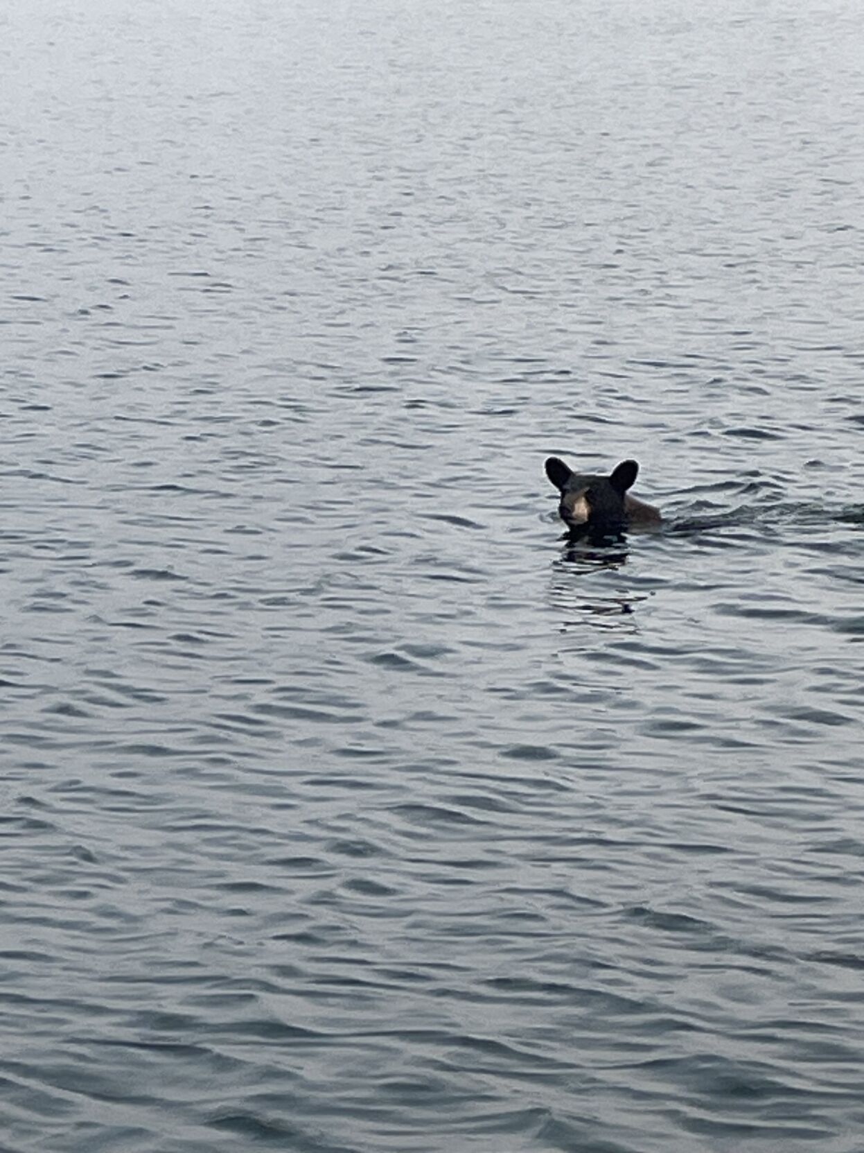 Taking a dip | Outdoors | apg-wi.com