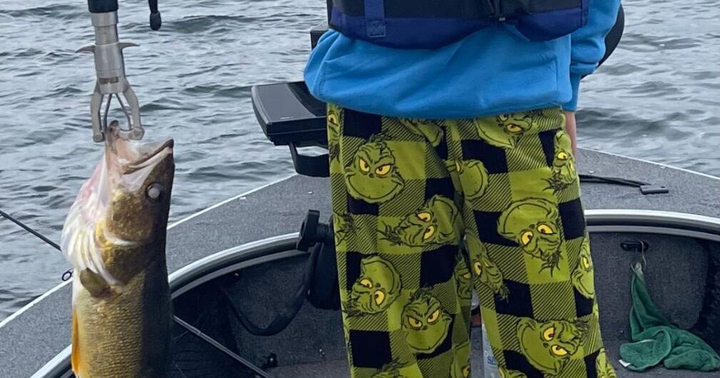 Walleye caught, released | Sawyer County Record | apg-wi.com