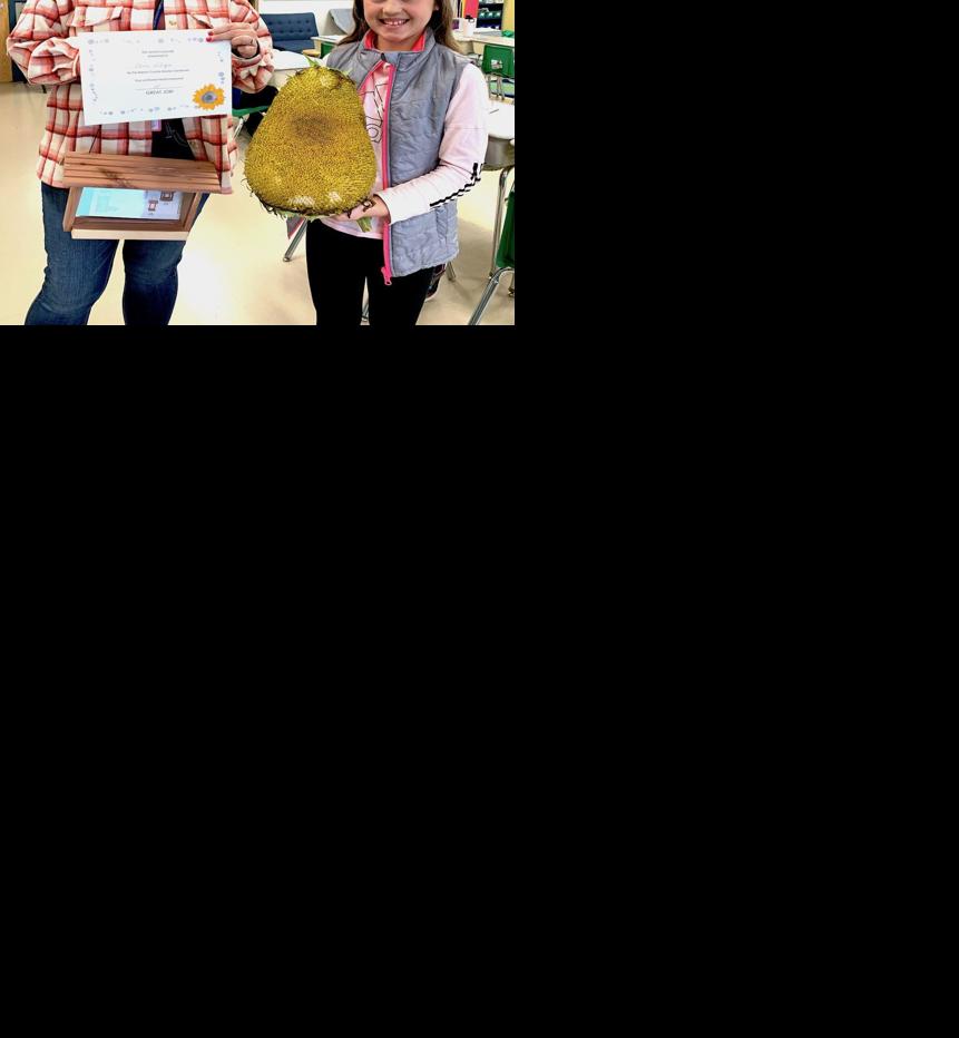 Elementary school winners announced in sunflower growing contest | Rice ...