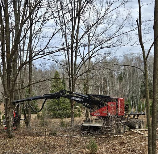 The Woody family: In logging for the long haul | Price County Review ...
