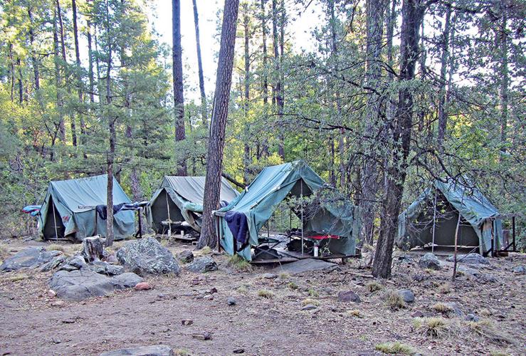 Summer Camp Snapshots from Arcadia’s Troop 6 | News & Stories ...