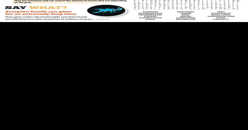 Did you know? Scorpions | News & Stories | arcadianews.com