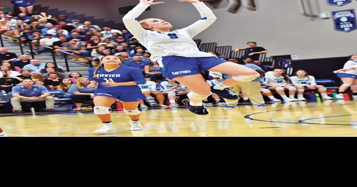 Shannon Shields wins Arizona Gatorade Player of the Year | Schools ...