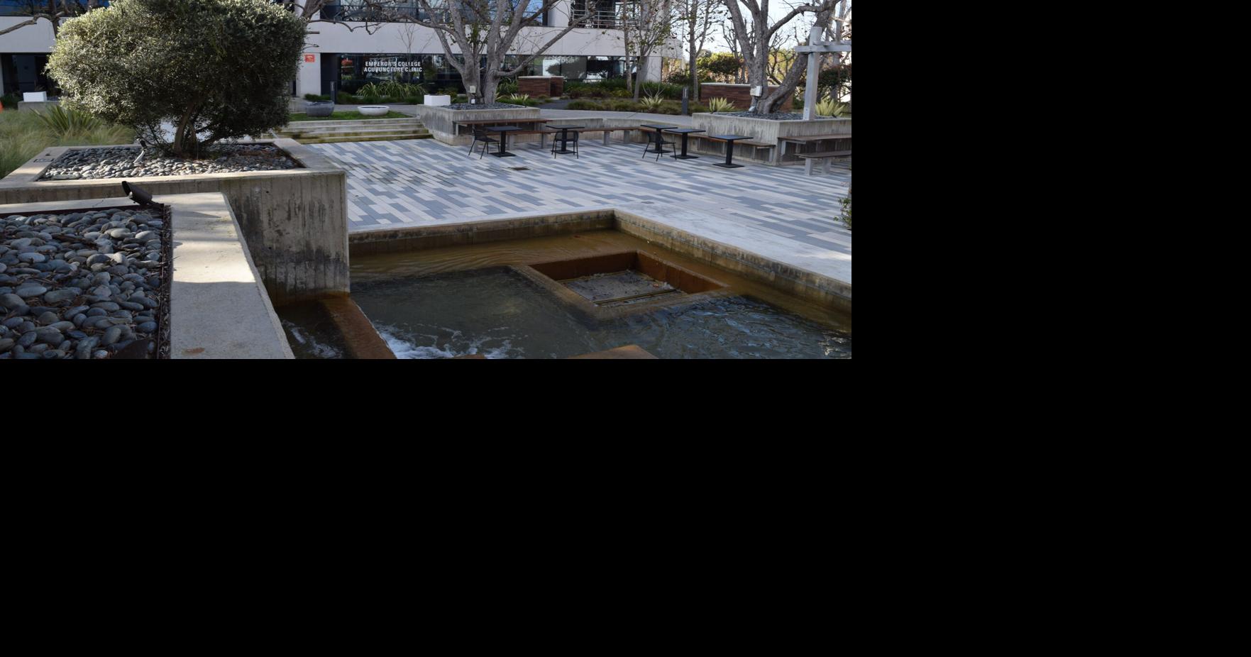 Rigorous Education: Emperor’s College offers classes on Eastern ...