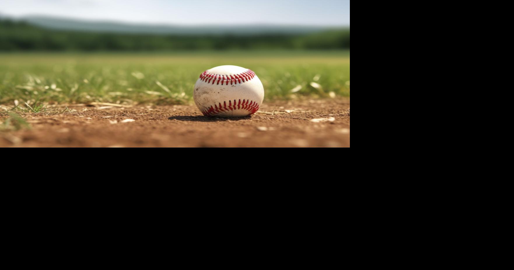 A Season to Remember: Westchester Del Rey’s World Series journey ...