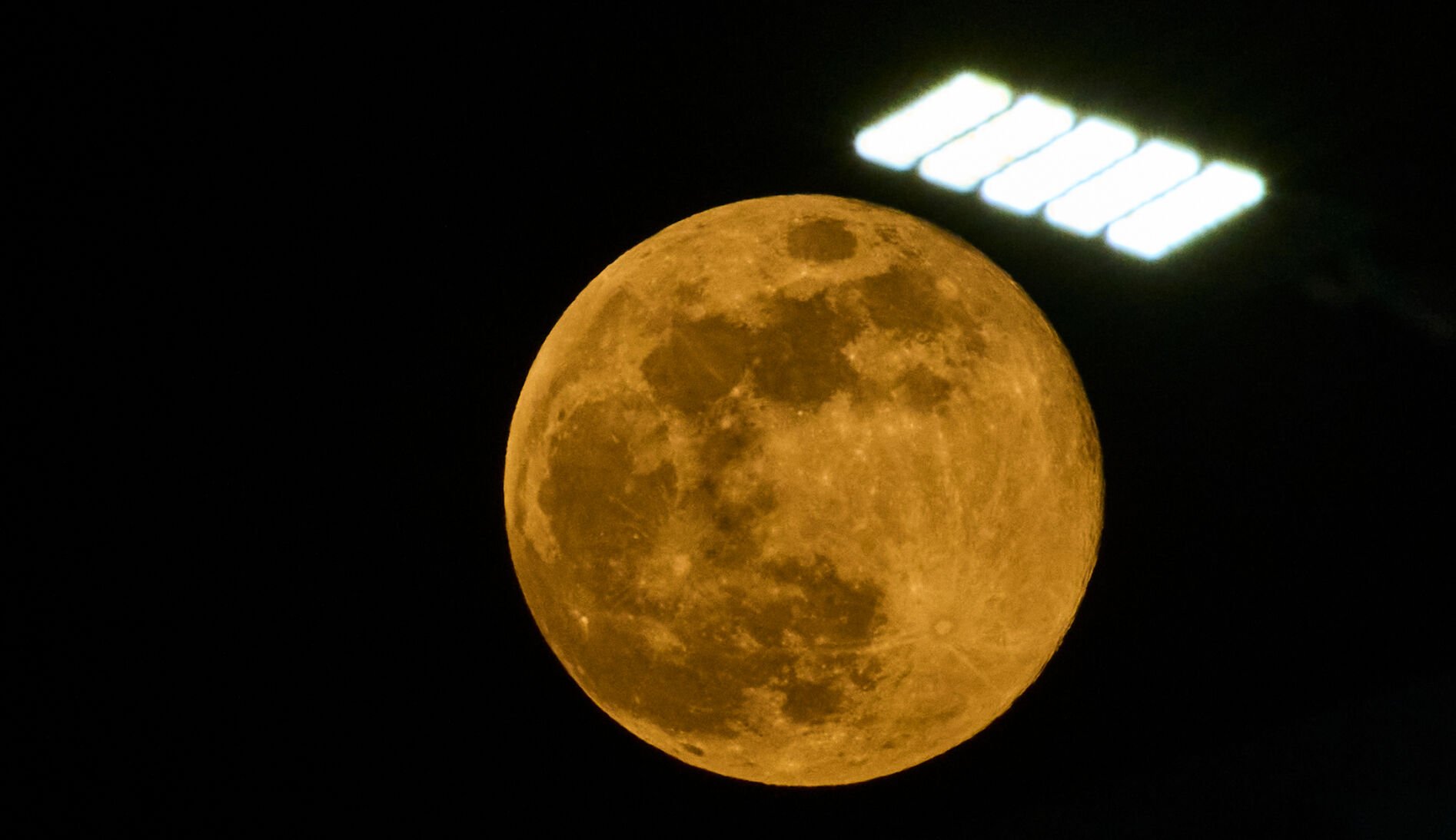 Iraq Wolf Supermoon | World News | argus-press.com