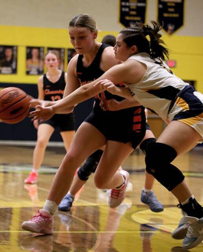 Ovid-Elsie rolls past Chesaning in high-intensity district affair ...