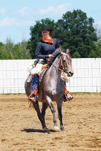 Shiawassee County Fair kicks off Sunday, looking to maintain status as ...