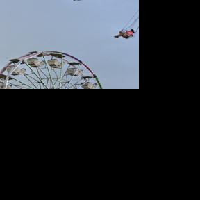 Monday at the Shiawassee County Fair | Arts & Entertainment | argus ...