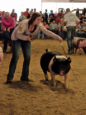 Monday at the Shiawassee County Fair | Arts & Entertainment | argus ...