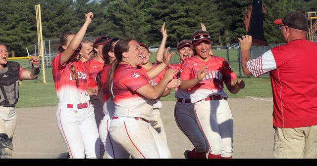 SOFTBALL: Wolfpack repeat as district softball champs | Local Sports ...