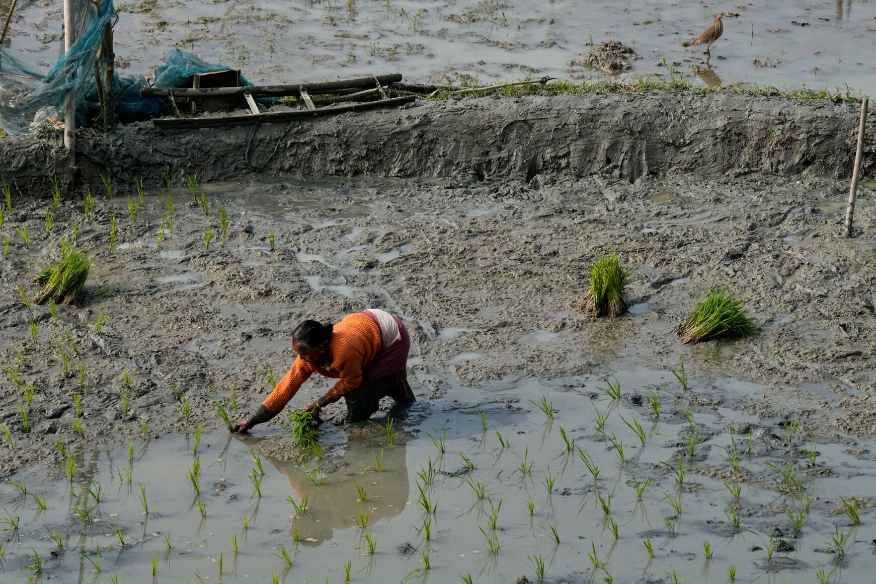 India Daily Life | World News | argus-press.com