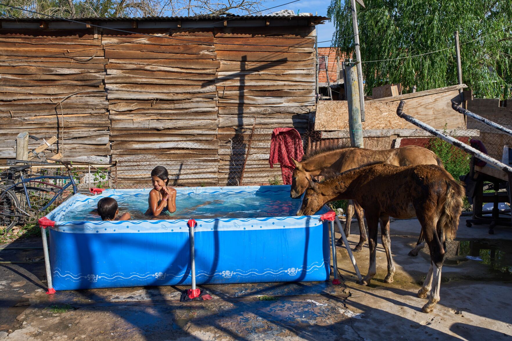 Pictures of the Week Latin America and Caribbean Photo Gallery | World ...