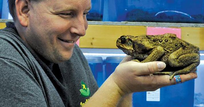 Frog factory looking to expand business | Local Business | argus-press.com
