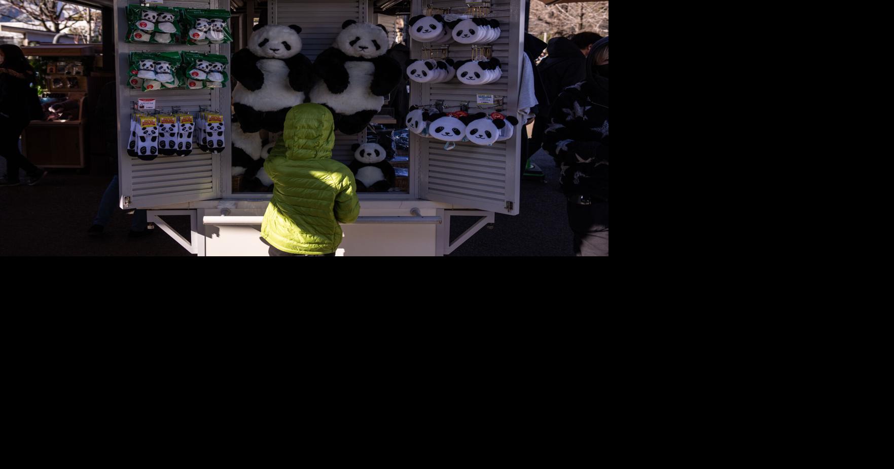 Japan China Pandas | World News | argus-press.com