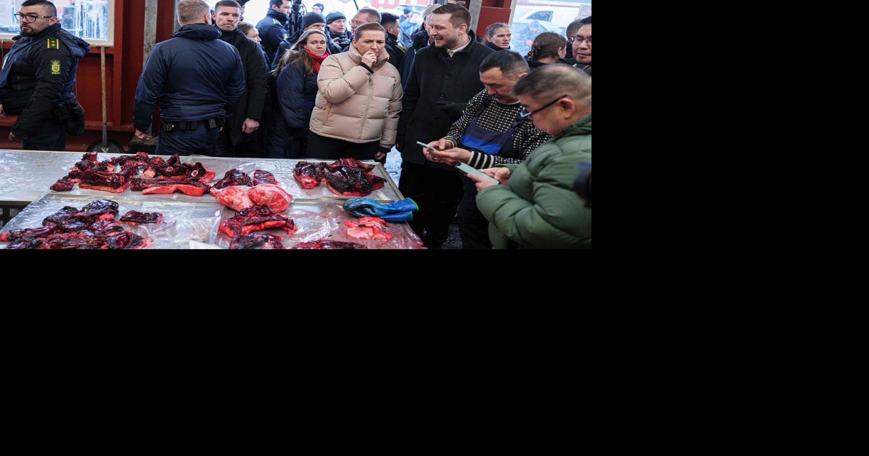 Greenland Denmark | World News | argus-press.com