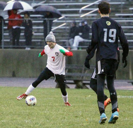 BOYS SOCCER: Wolfpack sink Dansville | Local Sports | argus-press.com