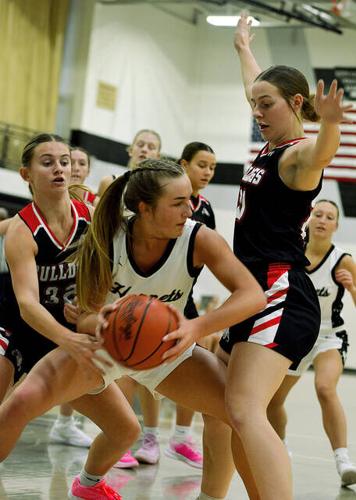 Wendling’s 27 leads New Lothrop past St. Charles | New Lothrop | argus ...
