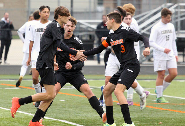 Chesaning makes history with first soccer playoff win | Local Sports ...
