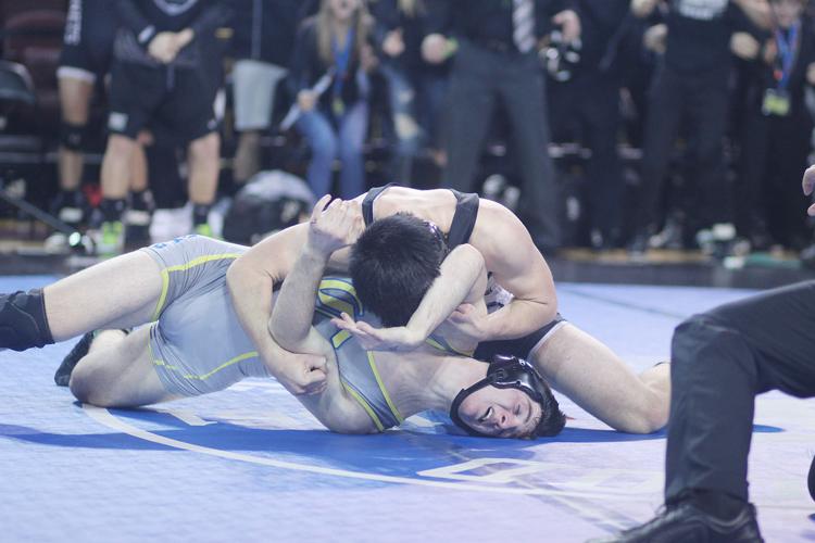 WRESTLING: New Lothrop rallies in last two matches to beat Carson City-Crystal in quarterfinals ...