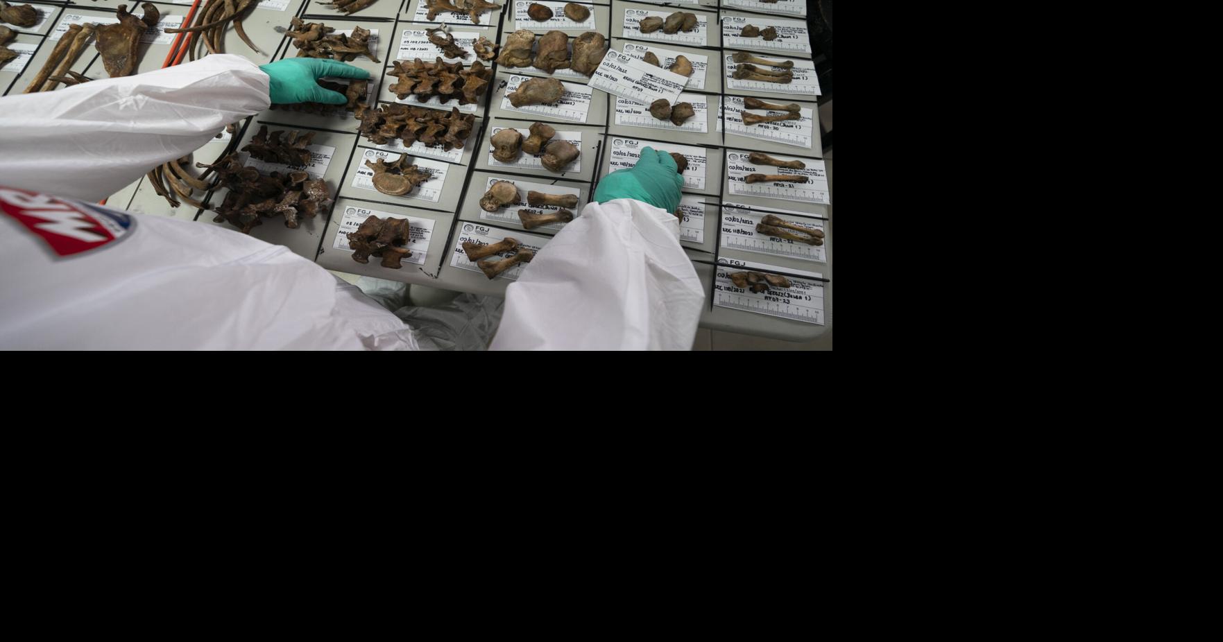 Mexico Disappeared | World News | argus-press.com