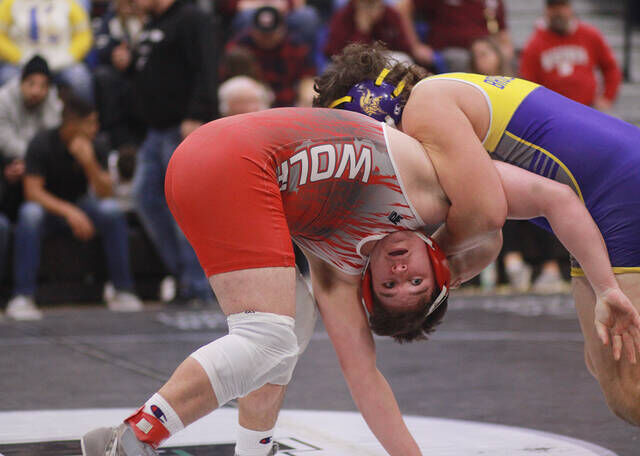 New Lothrop’s Orr and Kulhanek,Corunna’s Anderson wrestling champsat ...