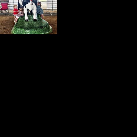 Mother Nature hinders Day 3 of Shiawassee County Fair | Local News ...