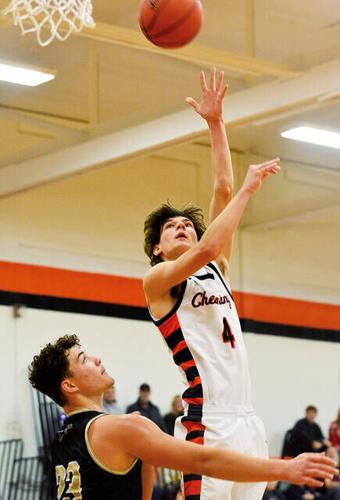 Final Argus-Press area boys basketball stat leaders | Basketball ...