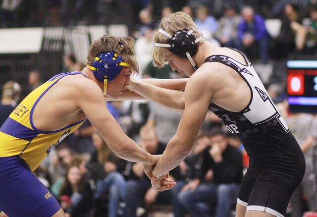 New Lothrop’s Orr and Kulhanek,Corunna’s Anderson wrestling champsat ...
