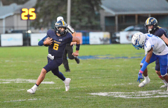 Patrick leads Owosso to playoffs, is Argus-Press Football Player of the ...