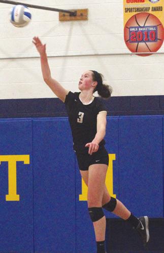 VOLLEYBALL REGIONALS: Corunna swept by North Branch | Corunna | argus ...