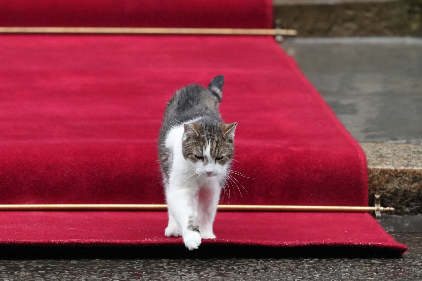 APTOPIX Britain Poland | World News | argus-press.com