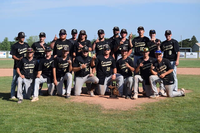 BASEBALL: Corunna, New Lothrop, Laingsburg prep for regionals | Local ...