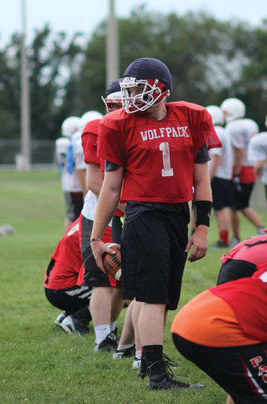 LAINGSBURG FOOTBALL PREVIEW: Bulked-up Wolfpack seek playoffs | Local ...