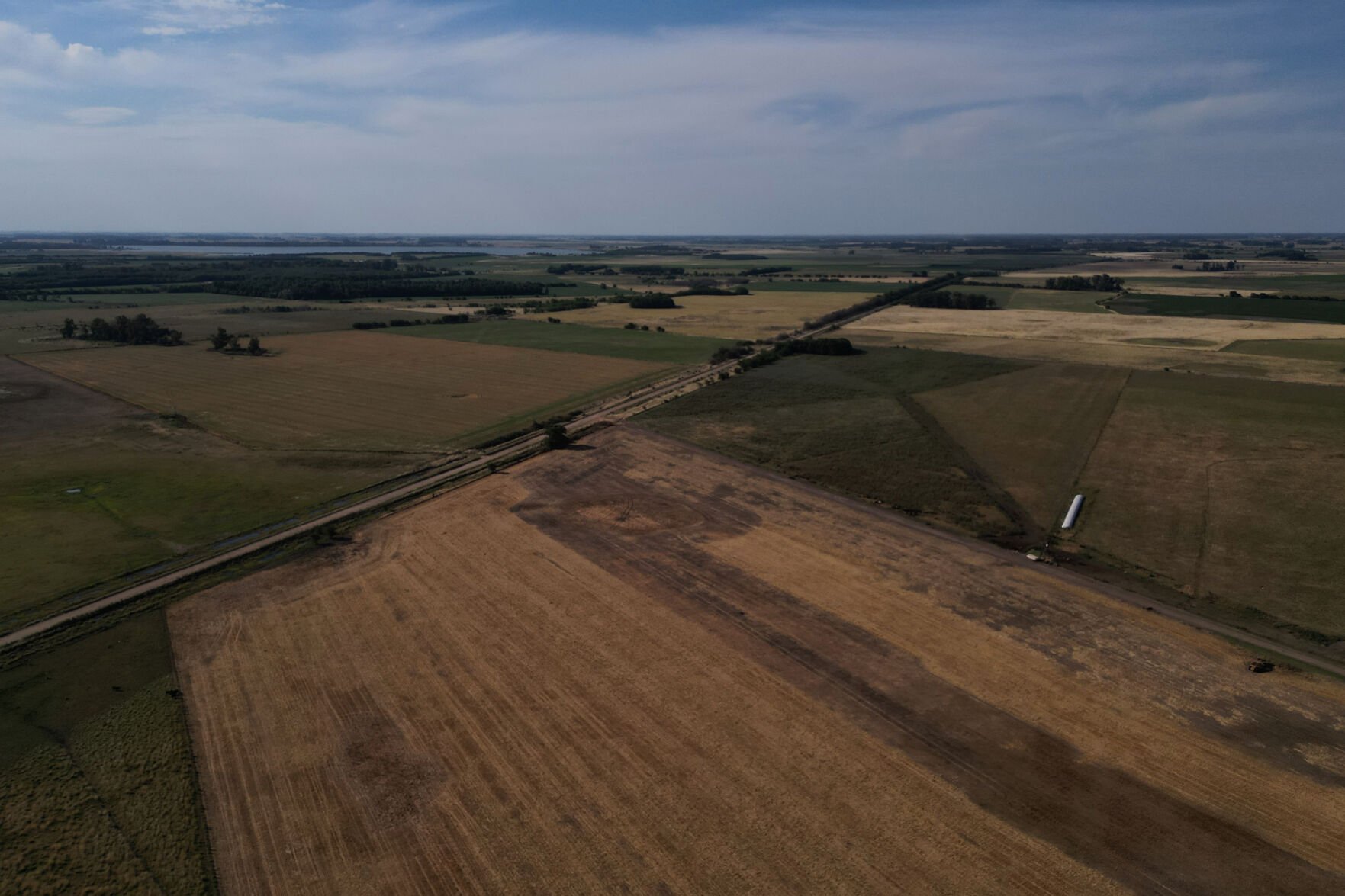 Argentina Farm | World News | argus-press.com