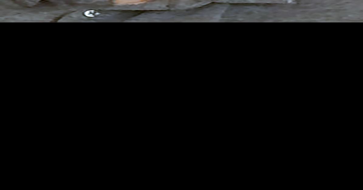 Richard VanDerVeer Polhemus | Obituaries | argus-press.com