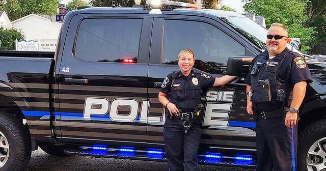 Elsie teen sues village, police chief over alleged illegal traffic stop ...