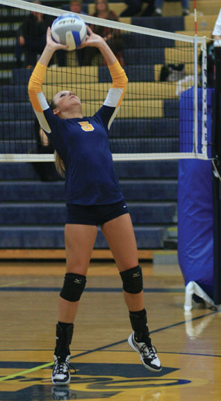 Owosso volleyball falls short against Fowlerville in four sets | Local ...