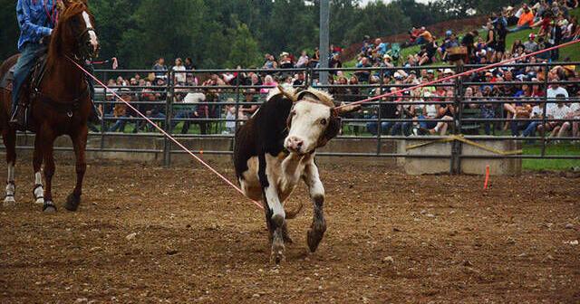 Founded with Michigan roots, TK Pro Rodeo puts on show at Shiawassee ...