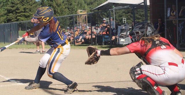 SOFTBALL: Wolfpack repeat as district softball champs | Local Sports ...