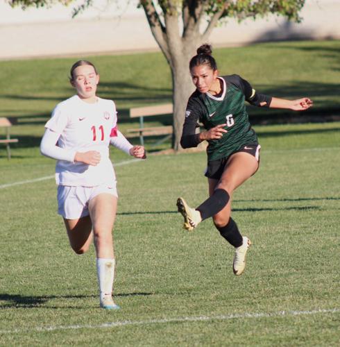 Four Rivers Girls Soccer team advances to quarterfinals | Local Sports ...