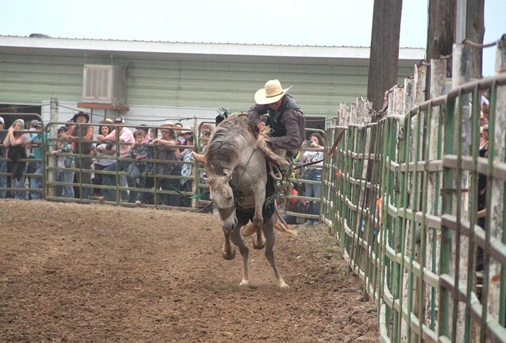 Locals buck through Nyssa Nite Rodeo | Local Sports | argusobserver.com
