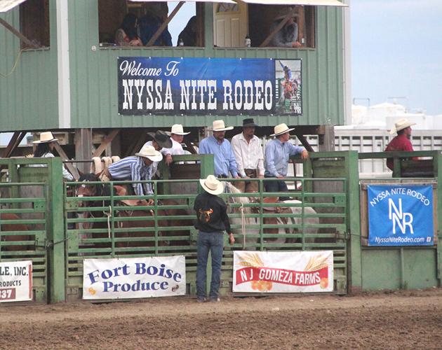 Locals buck through Nyssa Nite Rodeo | Local Sports | argusobserver.com