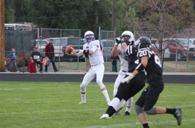 Update on all local playoff games | Local Sports | argusobserver.com